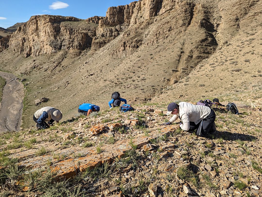 A chat with UNE PhD student, Stephanie Richter-Stretton