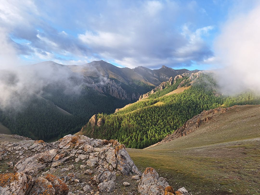 A chat with UNE PhD student, Stephanie Richter-Stretton